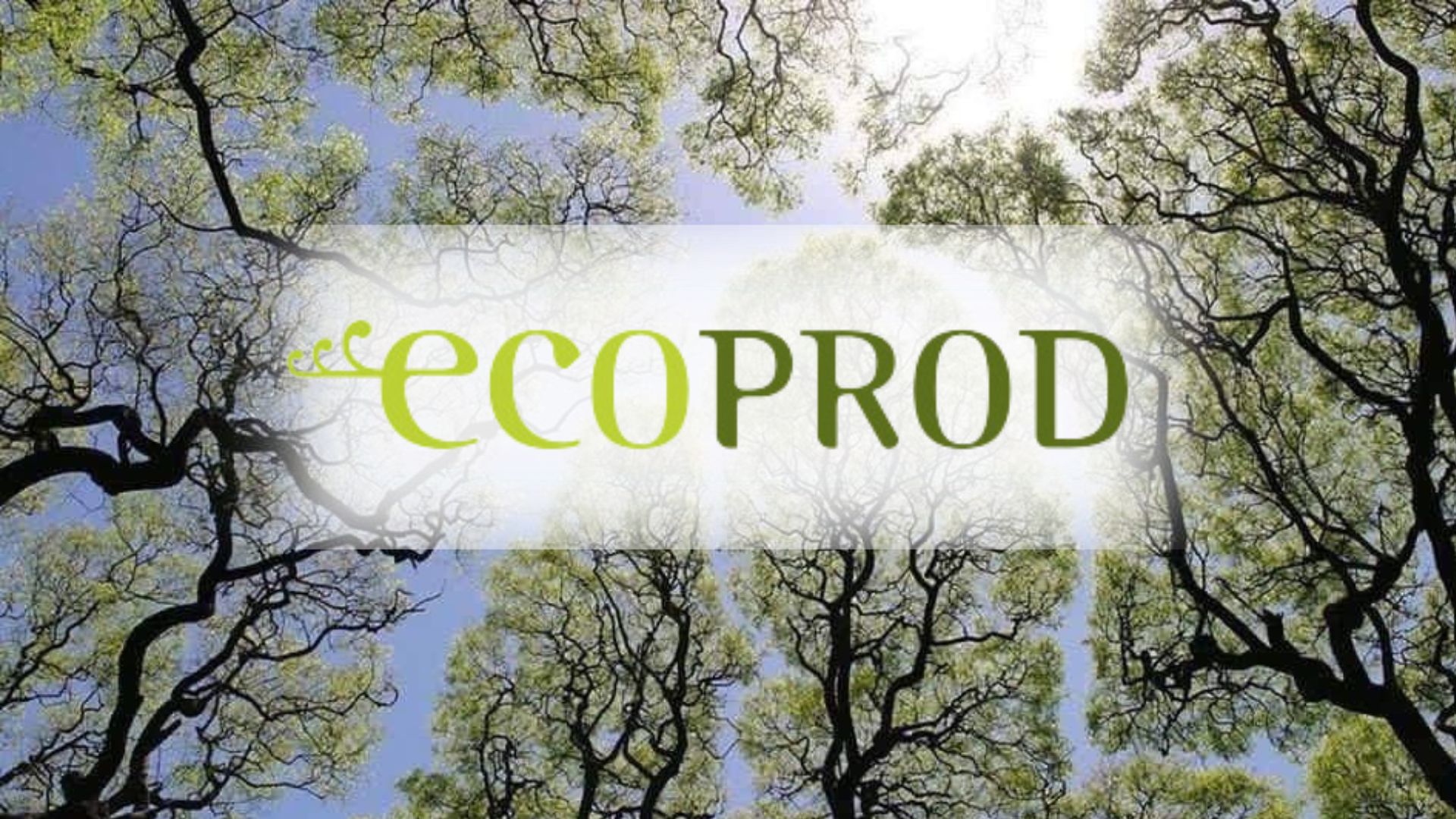 Mediakwest - Deuxième édition du Prix Ecoprod à Cannes