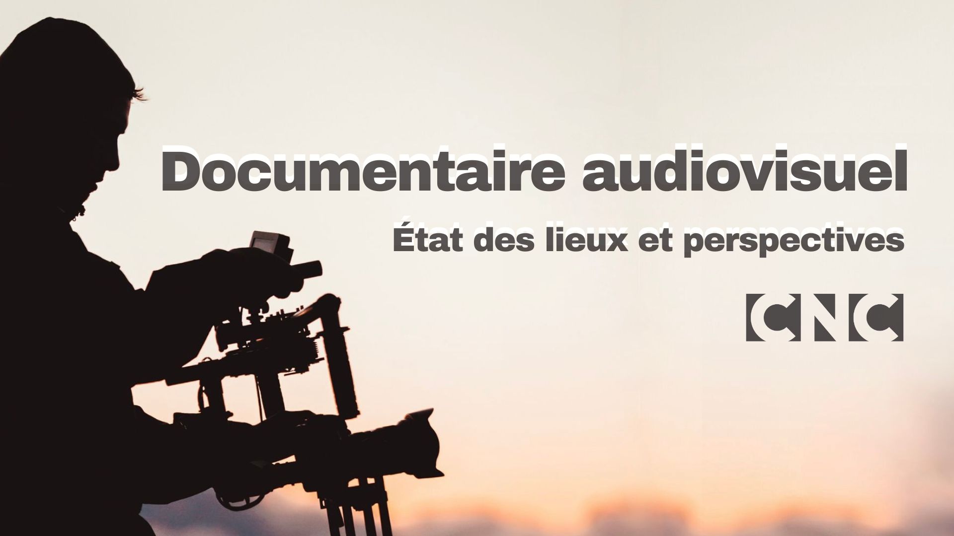 Mediakwest - État des lieux et perspectives du documentaire audiovisuel ...